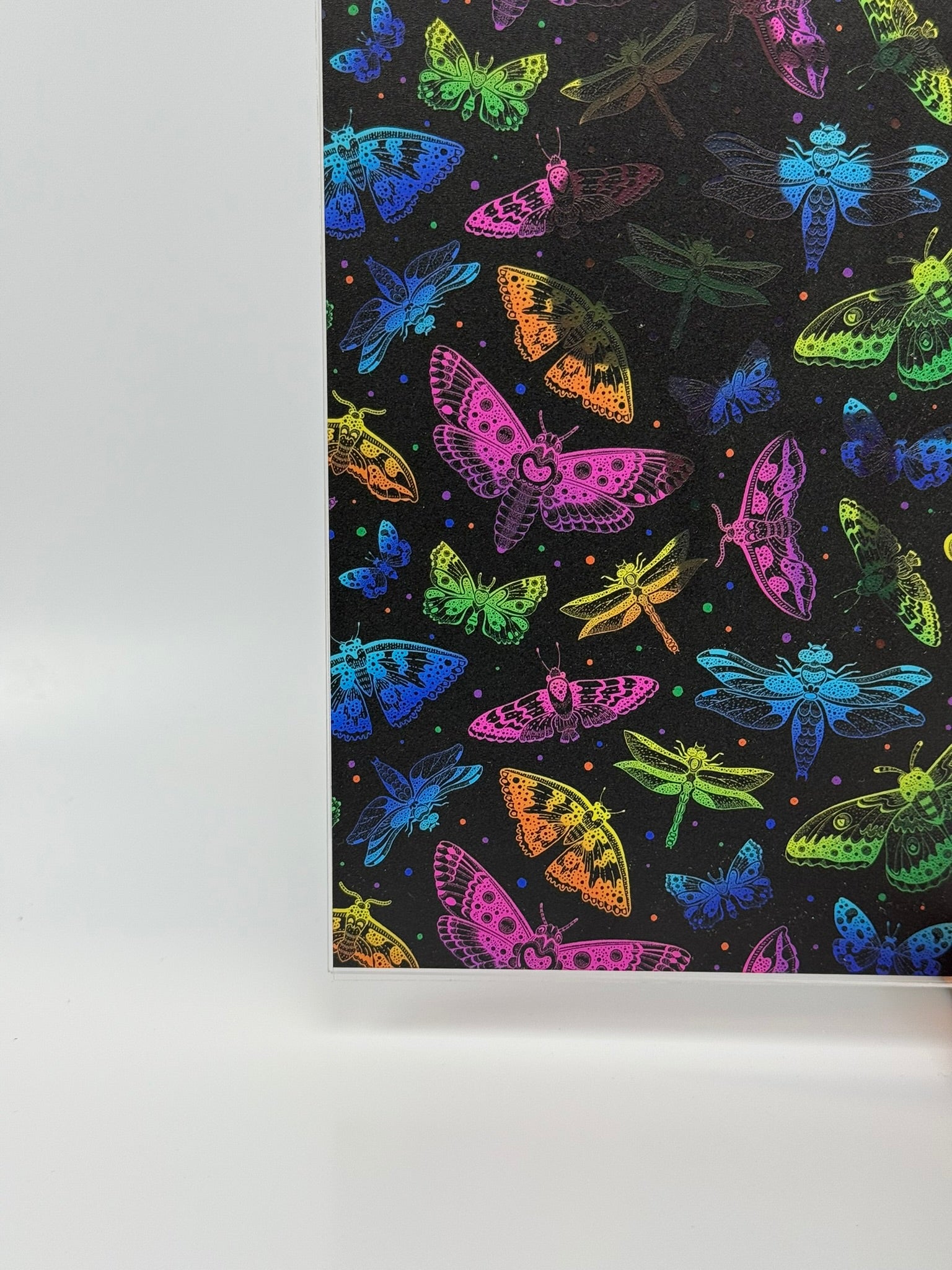 PatternPly® Transparent Neon Butterflies – Smokey Hill Designs